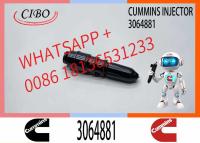 China High-quality Auto Parts Common Rail Fuel Injector 3064881 3066176 for sale