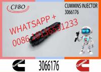 China High-quality Auto Parts Common Rail Fuel Injector 3064881 3066176 for sale