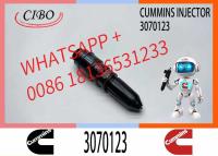 China Excavator Engine Parts Injector 4914537 4914308 3054218 3070123 3054220 3054219 3054216 3047991 4914505 for Cummi-ns for sale