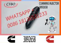 China Common Rail Fuel Injector Assembly 3054220 3892658 Truck Engine Parts for sale