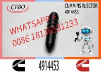 China Common Rail Fuel Injector 4913325 3054228 3069767 4914453 for sale
