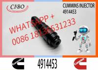 China Common Rail Fuel Injector 4913325 3054228 3069767 4914453 for sale