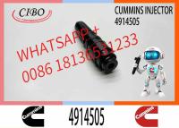 China Construction Machinery Spare Parts NTA855 NT855 Engine Common Rail Fuel Injector 4913325 4914505 for sale