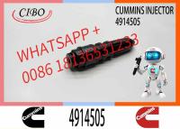 China Construction Machinery Spare Parts NTA855 NT855 Engine Common Rail Fuel Injector 4913325 4914505 for sale