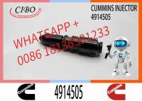 China Construction Machinery Spare Parts NTA855 NT855 Engine Common Rail Fuel Injector 4913325 4914505 for sale
