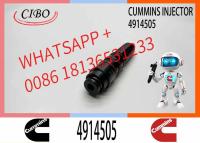 China Construction Machinery Spare Parts NTA855 NT855 Engine Common Rail Fuel Injector 4913325 4914505 for sale