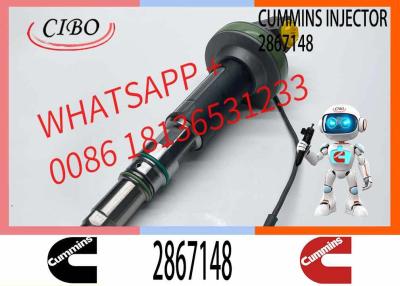 China Diesel Engine K19 K38 K50 Fuel Injector 2867147 288207 7 2867148 2882078 2867149 for QSK19 QSK38 QSK50 Malinu Parts for sale