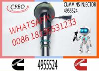 China Brand New Fuel Injector Assembly in Stock 4955524 4964170 for K19 KTA19 for sale