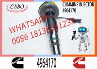 China Genuine Original Diesel QSK19 Engine Fuel Injector Repair Kit 4955524 4964170 for sale