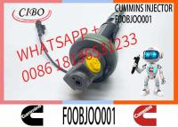 China Genuine Fuel Injector Assembly 4964170 4964171 2867149 F00BJ00005 F0OBJOO001 for Qsk19 Engine for sale