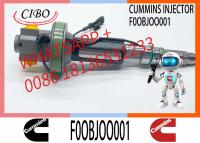China Genuine Fuel Injector Assembly 4964170 4964171 2867149 F00BJ00005 F0OBJOO001 for Qsk19 Engine for sale