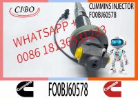 China Diesel Fuel Injector F00BJ10006 0986435912 FO0BJ60578 FOOBJ60783 1000019903 for QSK19 QSK38 QSK50 QSK60 Engine Machinery Parts for sale