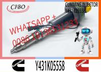 China Y431K05417 QSK19 Diesel Engine Common Rail Fuel Injector Y431K05558 4964171 for sale