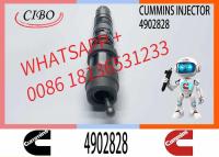 China Fuel Injector 4902827 4902828 for QSK23 QSK60 Diesel Engine for sale