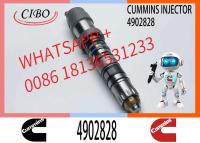 China Fuel Injector 4902827 4902828 for QSK23 QSK60 Diesel Engine for sale