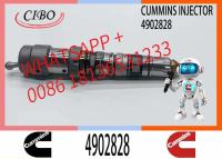 China Fuel Injector 4902827 4902828 for QSK23 QSK60 Diesel Engine for sale