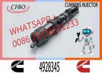 China Fuel Injector 4010029 4001830 4087886 4928345 for Engine K19 KTA19 QSK19 for sale