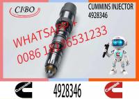 China Remanufactured Diesel Fuel Pump Injector 4928346 4076533 4088431 for sale