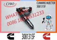 China Common Rail Fuel Injector 4384360 4902924 6087807 3073995F 3080931F 3081315F for Sprayer Excavator N14 Injector Truck Parts for sale
