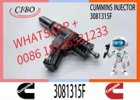 China Common Rail Fuel Injector 4384360 4902924 6087807 3073995F 3080931F 3081315F for Sprayer Excavator N14 Injector Truck Parts for sale