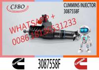 China Fuel Injector 3411385 for CUM-MINS N14 Diesel Engine Parts 3407776 3087558F for sale