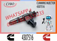 China Common Rail Fuel Injector 3411765 3411766 3411767 4307516 4307776 4307795 for Sprayer Excavator N14 Injector Truck Parts for sale
