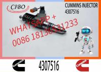 China Common Rail Fuel Injector 3411765 3411766 3411767 4307516 4307776 4307795 for Sprayer Excavator N14 Injector Truck Parts for sale