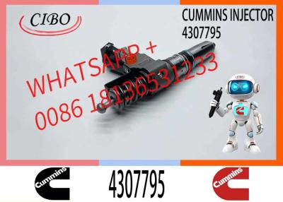 China High Reputation Supply Diesel Fuel Injector 4307795 3411760 3411766 3411767 4307516 4307776 3411764 More Models for sale