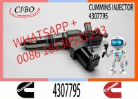 China High Reputation Supply Diesel Fuel Injector 4307795 3411760 3411766 3411767 4307516 4307776 3411764 More Models for sale