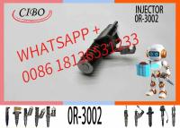 China For  3114 3116 Engine Diesel Fuel Injector 0R-3002 0R3002 4P-2995 0R-3190 for E320B 322B 322C 325B for sale