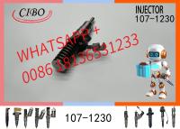 China Fuel Injector 1071230 127-8222 107-1230 0R-8461 0R8461 for Loader 950G 962G 938G 938F 928G Engine 3116 3126 1278222 Injector for sale