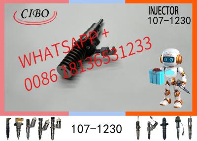 China Fuel Injector 1071230 127-8222 107-1230 0R-8461 0R8461 for Loader 950G 962G 938G 938F 928G Engine 3116 3126 1278222 Injector for sale