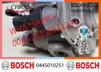 China Diesel Injector Pump 0445010251 0445010261 0445010384 for Excavator for sale