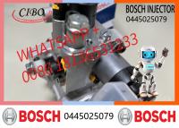 China 0445025056 0445025065 0445025079 RAIL DIESEL FUEL INJECTOR PUMP for sale
