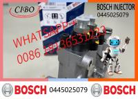 China 0445025056 0445025065 0445025079 RAIL DIESEL FUEL INJECTOR PUMP for sale