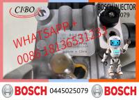 China 0445025056 0445025065 0445025079 RAIL DIESEL FUEL INJECTOR PUMP for sale