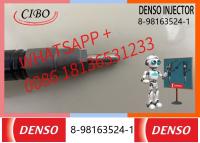 China Common Rail Injector 8981635241 295050-0971 8-98163524-1 8981635241 for sale