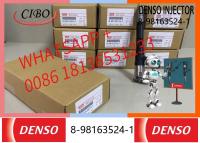 China Common Rail Injector 8981635241 295050-0971 8-98163524-1 8981635241 for sale