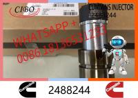 China 2428190 XPI Fuel Injector Repair Kit for 2488244 574232 Diesel Injectors for Scania Truck DC09 DC13 DC16 Engine Injection Valve for sale