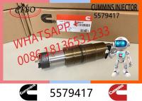China Automotive Parts Fuel Injector Excavator Engine Fuel Injector  5579417 4326959 4326989 4397488 for sale