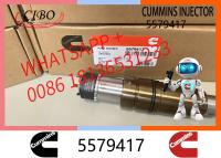 China Automotive Parts Fuel Injector Excavator Engine Fuel Injector  5579417 4326959 4326989 4397488 for sale