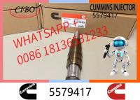 China Automotive Parts Fuel Injector Excavator Engine Fuel Injector  5579417 4326959 4326989 4397488 for sale