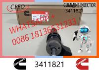 China Diesel Common  Injector 3406604 3411821 3071497 3087648 4914328 3018835 3079946 for sale