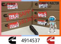 China Factory Direct Supply Fuel Injector 4914505 4914308 4914537 3054219 for NH N855 NT855 More Series for sale