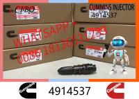 China Factory Direct Supply Fuel Injector 4914505 4914308 4914537 3054219 for NH N855 NT855 More Series for sale