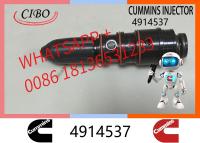China Factory Direct Supply Fuel Injector 4914505 4914308 4914537 3054219 for NH N855 NT855 More Series for sale