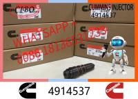China Factory Direct Supply Fuel Injector 4914505 4914308 4914537 3054219 for NH N855 NT855 More Series for sale