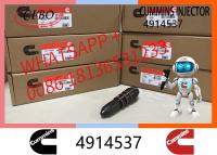China Factory Direct Supply Fuel Injector 4914505 4914308 4914537 3054219 for NH N855 NT855 More Series for sale