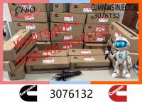 China Automotive Parts Fuel Injector Valve 3095773 3071497 3087587 3076703 3076132 3076130 for K19 KTA19 KTA38 Engine for sale