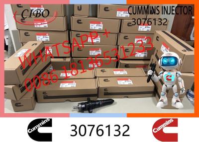 China Automotive Parts Fuel Injector Valve 3095773 3071497 3087587 3076703 3076132 3076130 for K19 KTA19 KTA38 Engine for sale